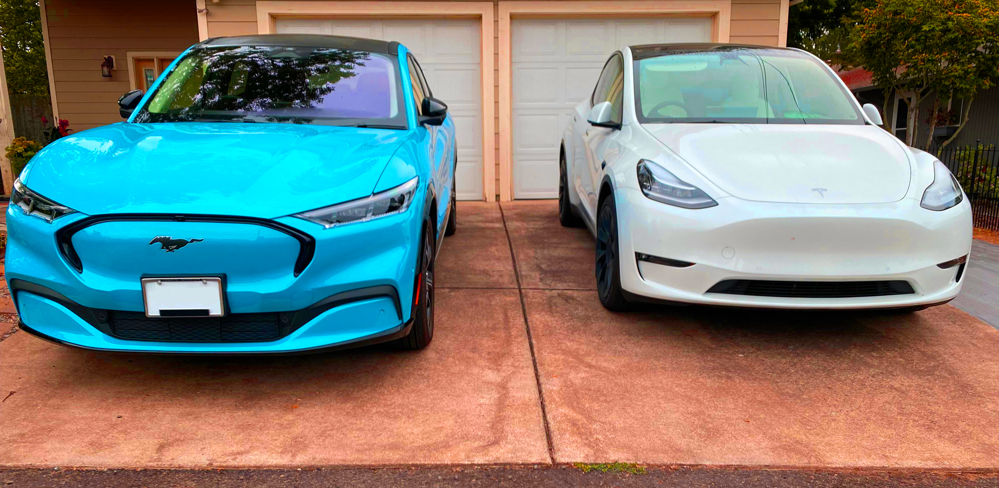 How Does The Model Y Compare To The Ford Mustang Mach-E? - Y Model Y